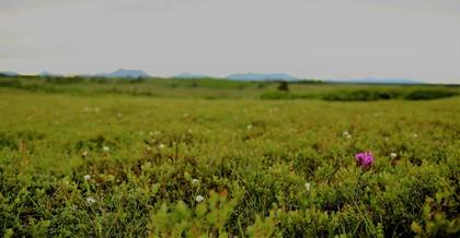 Image Gallery | Dillingham, AK